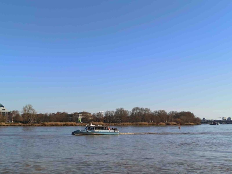 The Bat³ - TBM River Shuttle>> Schedules, route, price...