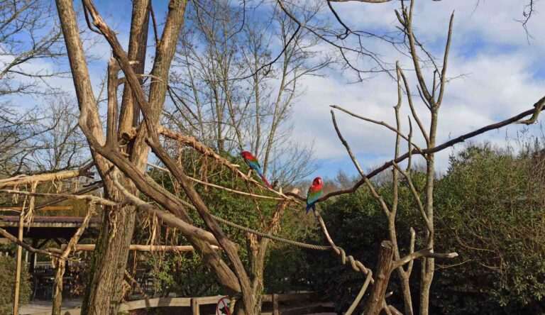 Le zoo de Bordeaux Pessac, incontournable en famille