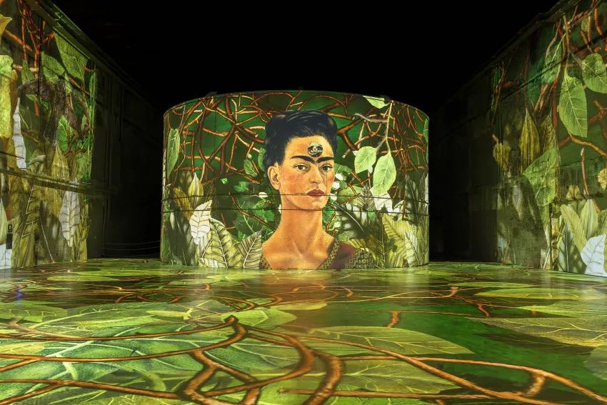 Matisse and Frida Kahlo Exhibition - The Pools of Lights